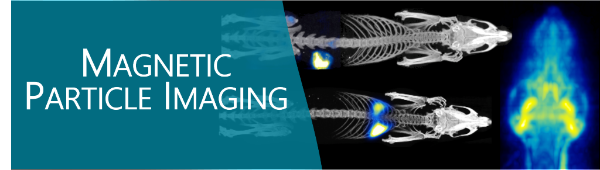In Vivo Magnetic Particle Imaging Seminar at UCSF